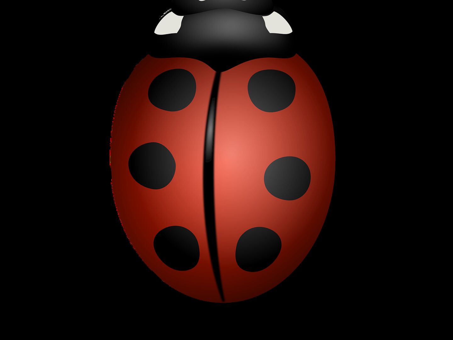 Cumbria Methodist Circuit | Beetle Drive